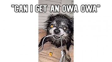 Soundboard Meme - memes soundboard - sound effects - Voicy Network